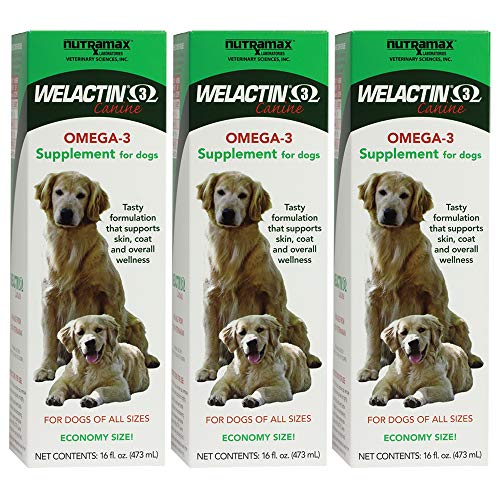 Nutramax Welactin Omega-3 Fish Oil Skin and Coat Health Supplement Liquid for Dogs - 16 Ounce 3 Pack