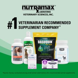 Nutramax Welactin Omega-3 Fish Oil Skin and Coat Health Supplement Liquid for Dogs - 16 Ounce 3 Pack