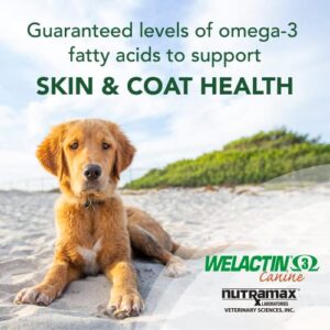 Nutramax Welactin Omega-3 Fish Oil Skin and Coat Health Supplement Liquid for Dogs - 16 Ounce 3 Pack