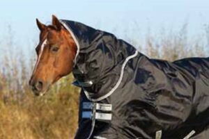 horseware amigo stock horse hood no fill m