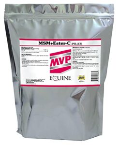 msm+ ester c (10lb) immune support for horses