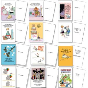 Stonehouse Collection Vareity Set of 12 Funny Birthday Cards - Birthday Card Assortment - USA Made