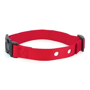 petsafe 1 inch replacement collar strap with 2 holes, for wireless fence and in-ground fence collars - red