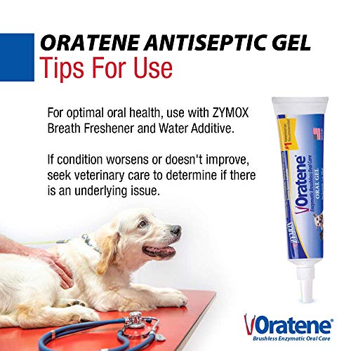 Pet King Brands ZYMOX Oratene Brushless Oral Gel for Dogs and Cats, 1oz