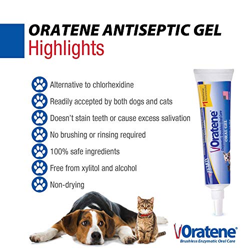 Pet King Brands ZYMOX Oratene Brushless Oral Gel for Dogs and Cats, 1oz