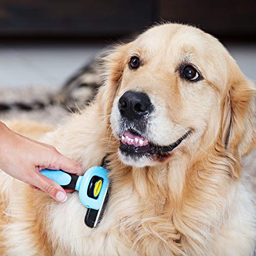 DakPets Pet Grooming Brush Effectively Reduces Shedding by up to 95% Professional Deshedding Tool for Dogs and Cats