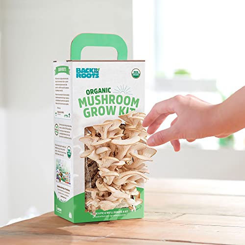 Back to the Roots Organic Oyster Mushroom Grow Kit, Harvest Gourmet Mushrooms In 10 Days