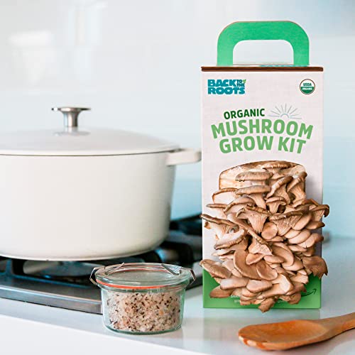 Back to the Roots Organic Oyster Mushroom Grow Kit, Harvest Gourmet Mushrooms In 10 Days