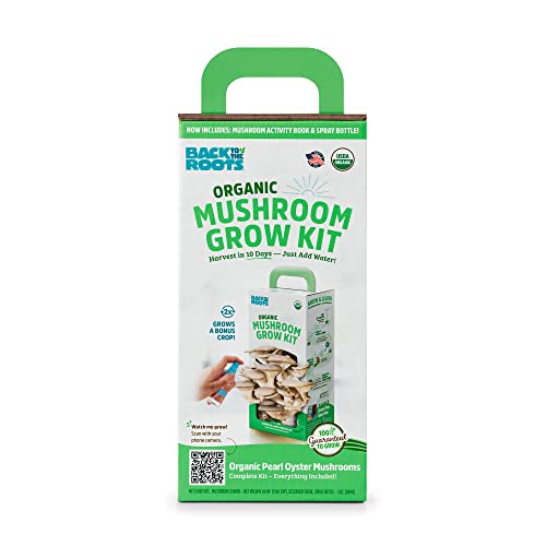 Back to the Roots Organic Oyster Mushroom Grow Kit, Harvest Gourmet Mushrooms In 10 Days