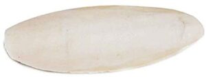 cuttlebones large, 25-pk