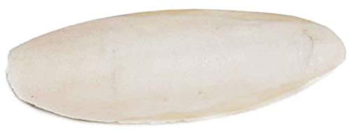 Cuttlebones Large, 25-pk