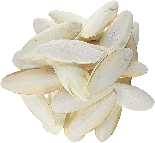 Cuttlebones Large, 25-pk