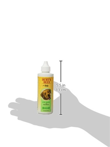 Burt's Bees for Pets Dogs Natural Eye Wash with Saline Solution | Eye Wash Drops for Dogs Or Puppies | Eliminate Dirt and Debris from Dog Eyes with Dog Eye Rinse, 4oz