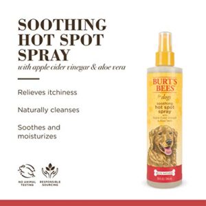 Burt's Bees for Pets Natural Hot Spot Spray for Dogs - Relieves & Soothes Dog Hot Spots - Made with Apple Cider Vinegar & Aloe Vera - Cruelty, Sulfate & Paraben Free - Made in USA, 10 oz