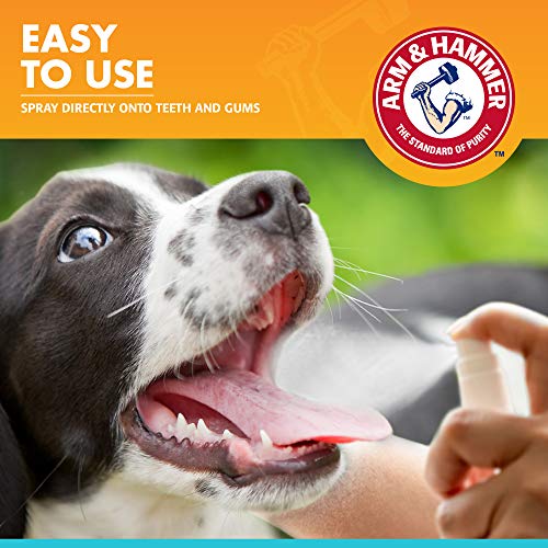 Arm & Hammer for Pets Fresh Breath Dental Spray for Dogs | Reduce Plaque & Tartar Buildup Without Brushing, 4 Ounces, Mint Flavor | Dog Teeth Cleaning Spray, Arm and Hammer Dog Dental Care