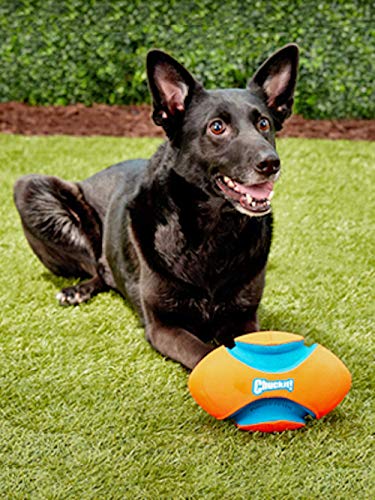 Chuckit! Fumble Fetch Dog Toy, Outdoor and Indoor Dog Toy Small