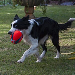 Chuckit! Fumble Fetch Dog Toy, Outdoor and Indoor Dog Toy Small