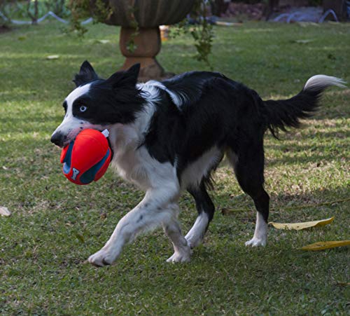 Chuckit! Fumble Fetch Dog Toy, Outdoor and Indoor Dog Toy Small