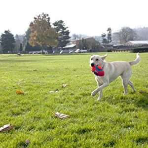 Chuckit! Fumble Fetch Dog Toy, Outdoor and Indoor Dog Toy Small