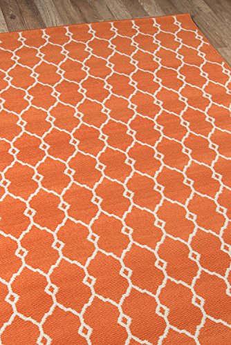 Momeni Rugs , Baja Collection Contemporary Indoor & Outdoor Area Rug, Easy to Clean, UV protected & Fade Resistant, 2'3" x 4'6", Orange