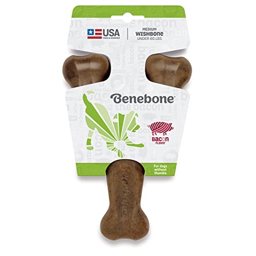 Benebone Wishbone Durable Dog Chew Toy for Aggressive Chewers, Real Bacon, Made in USA, Medium