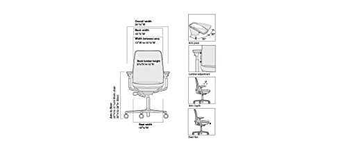 Steelcase Amia Ergonomic Office Chair with Adjustable Back Tension and Arms | Flexible Lumbar with Sliding Seat | Black Frame and Buzz2 Blue Fabric