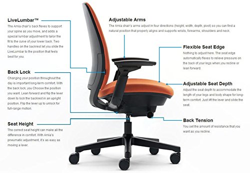 Steelcase Amia Ergonomic Office Chair with Adjustable Back Tension and Arms | Flexible Lumbar with Sliding Seat | Black Frame and Buzz2 Blue Fabric