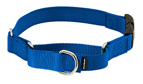 PetSafe Martingale Collar with Quick Snap Buckle, 1" Large, Royal Blue