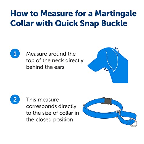 PetSafe Martingale Collar with Quick Snap Buckle, 1" Large, Royal Blue