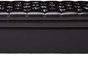 Christopher Knight Home Hastings Tufted Leather Storage Ottoman, Espresso