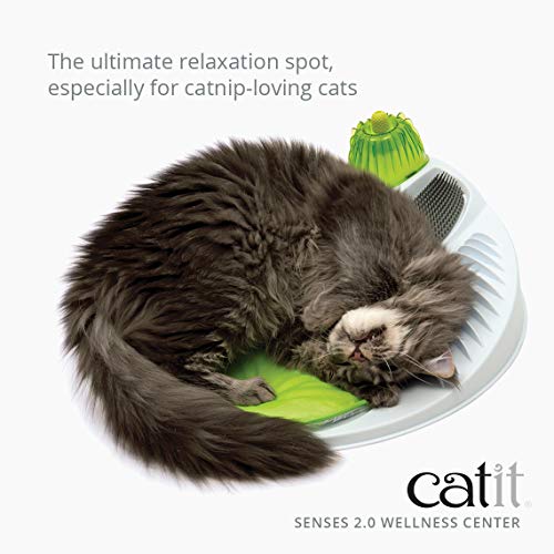 Catit Senses 2.0 Wellness Center, Interactive Cat Toy