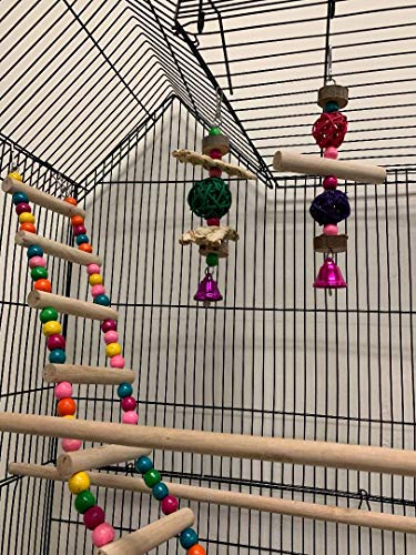 Large Double Roof Top Flight Bird Cage With Toys for Cockatiel Parakeet Conure Lovebird Budgie Parrotlet Finch Canary Small Parrot Bird Cage