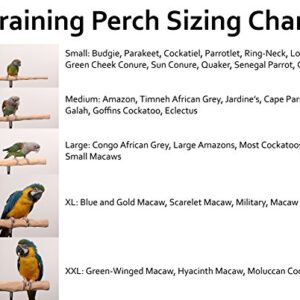 Parrot Training Perch Kit (T Perch, XL)