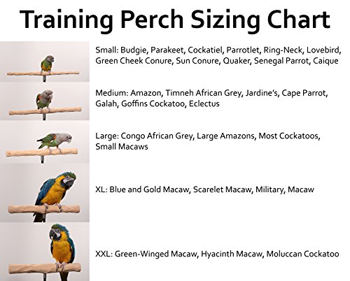 Parrot Training Perch Kit (T Perch, XL)