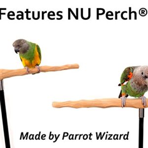 Parrot Training Perch Kit (T Perch, XL)