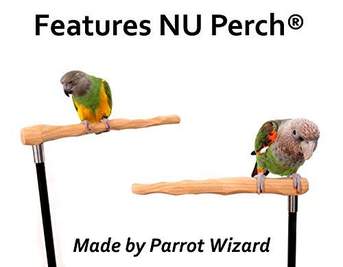 Parrot Training Perch Kit (T Perch, XL)