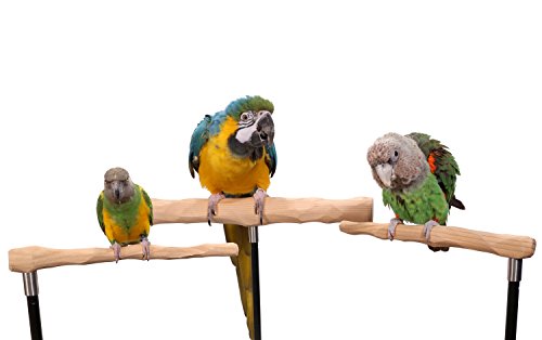 Parrot Training Perch Kit (T Perch, XL)