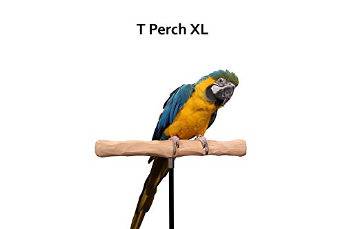 Parrot Training Perch Kit (T Perch, XL)