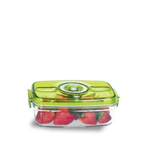 Vacucraft Plastic Food Storage Containers with Airtight Lids - Rectangle Food Storage Containers with Lids - Great for Vegatables, Fruits and Meats - Keeps Food Fresh - Vacuum Seal Containers for Food