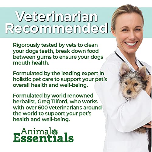 Animal Essentials SeaDent Kelp & Enzyme Plaque & Tarter Control for Dogs, 2.5 oz - Made in USA, Healthy Teeth & Gums