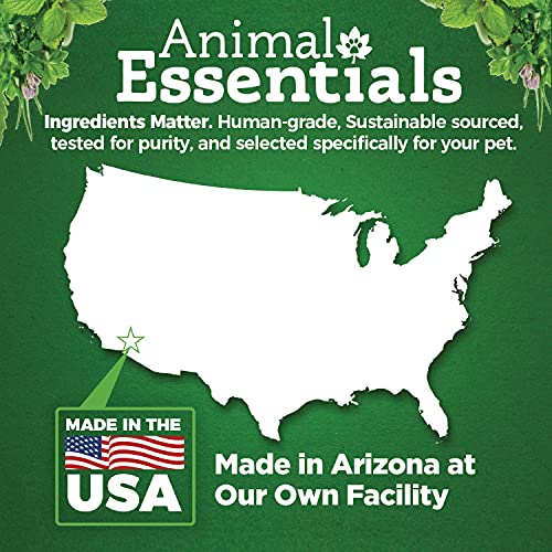 Animal Essentials SeaDent Kelp & Enzyme Plaque & Tarter Control for Dogs, 2.5 oz - Made in USA, Healthy Teeth & Gums