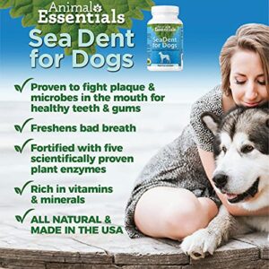 Animal Essentials SeaDent Kelp & Enzyme Plaque & Tarter Control for Dogs, 2.5 oz - Made in USA, Healthy Teeth & Gums