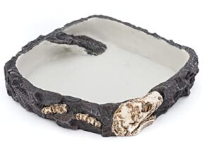 penn-plax reptology reptile fossil rock food/water dish – great for bearded dragons, geckos, chameleons, snakes, hermit crabs, and many more – large