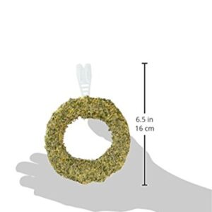 SUNSEED COMPANY 079716 Vita Prime Swing Ring