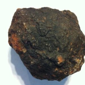 Genuine Fossil Coprolite - Fossilized Dino "Poop" -5"-7"