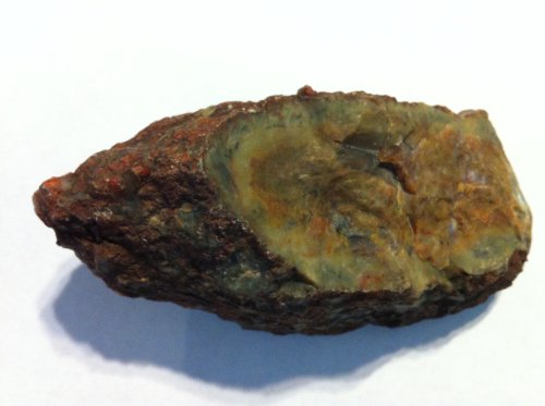 Genuine Fossil Coprolite - Fossilized Dino "Poop" -5"-7"