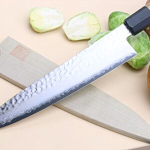 Yoshihiro VG-10 46 Layers Hammered Damascus Gyuto Japanese Chefs Knife (Octagonal Ambrosia Handle) (8.25" (210mm)