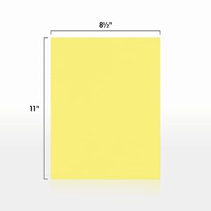 LUXPaper 8.5" x 11" Paper | Letter Size | Pastel Canary Yellow | 60lb. Text | 50 Qty