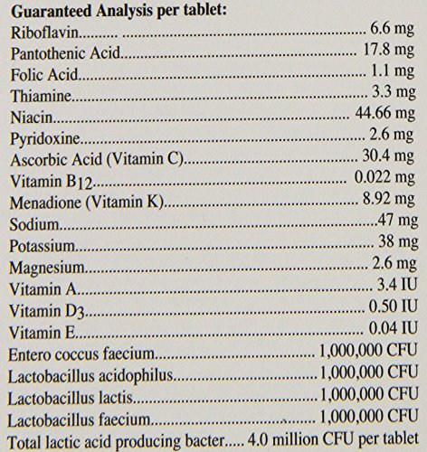 OASIS #80070 Alive and Well, Stress Preventative & Pro-Biotic Tablets for Birds