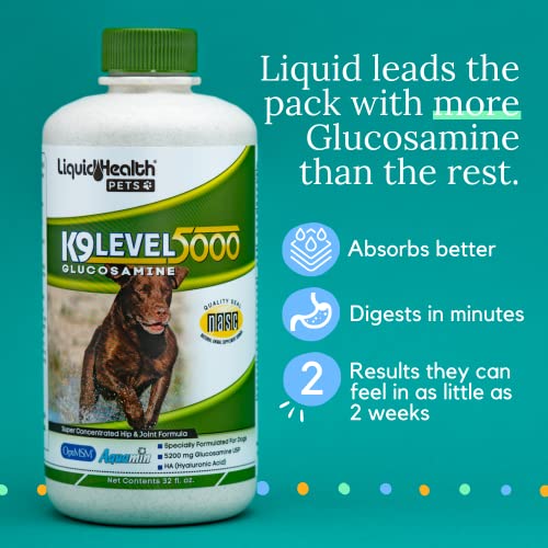 LIQUIDHEALTH 32 Oz K9 Liquid Glucosamine for Dogs Level 5000 with Glucosamine Chondroitin, Dogs MSM, Boswellia Serrata – Dog Hip and Joint Health, Dog Vitamins for Dog Joint Pain, Dog Joint Oil